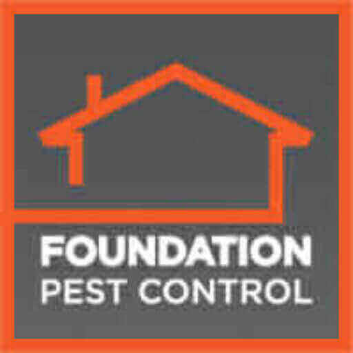 Common Pests | Foundation Pest Control | Memphis, TN